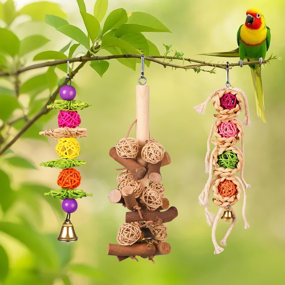 Bird Toys, Parrot Interactive Toy, Toys Bitten by Birds, Wooden Bird ...