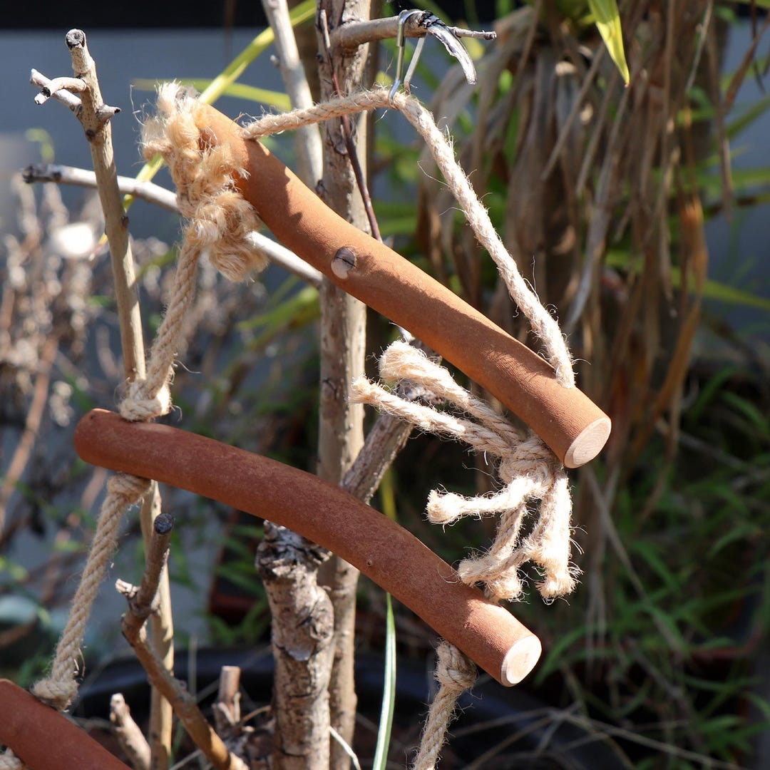 Natural Bird Ladder, Bird Rope Ladder, Bird Ladder Bridge, Climbing Toy ...
