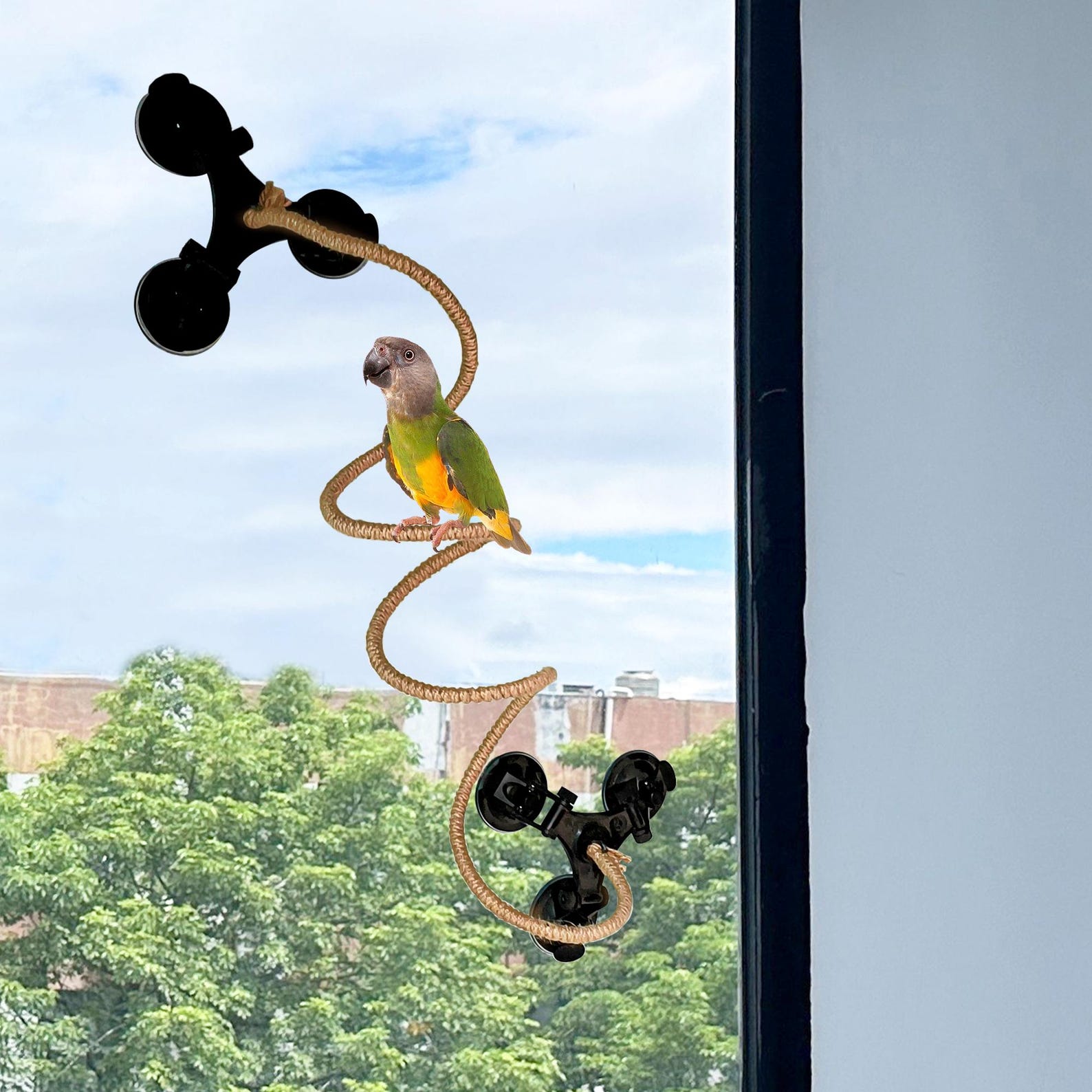Sisal Rope Bird Perch With Suction Cups, Flexible Parrot Climbing Toy ...