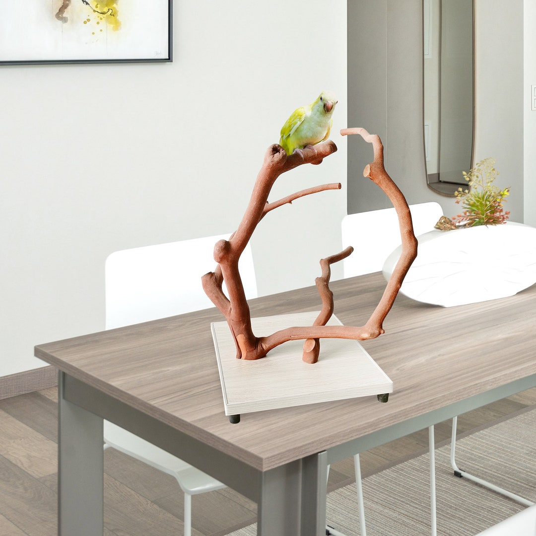 Parrot Stand, Bird Stand, Natural Bird Perches, Parrot Perches, Parrot ...