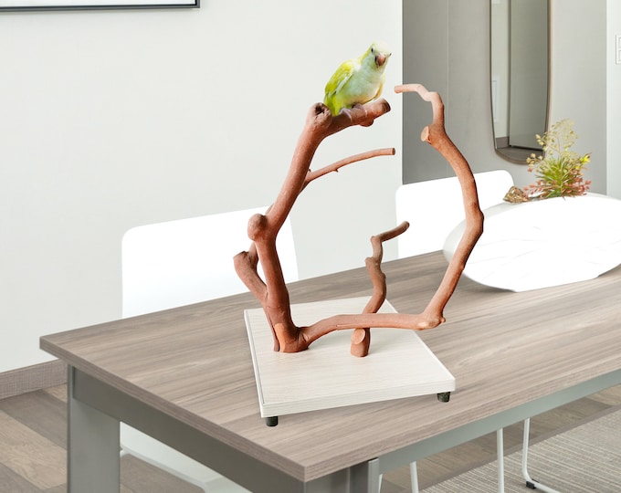 Parrot Stand, Bird Stand, Natural Bird Perches, Parrot Perches, Parrot ...