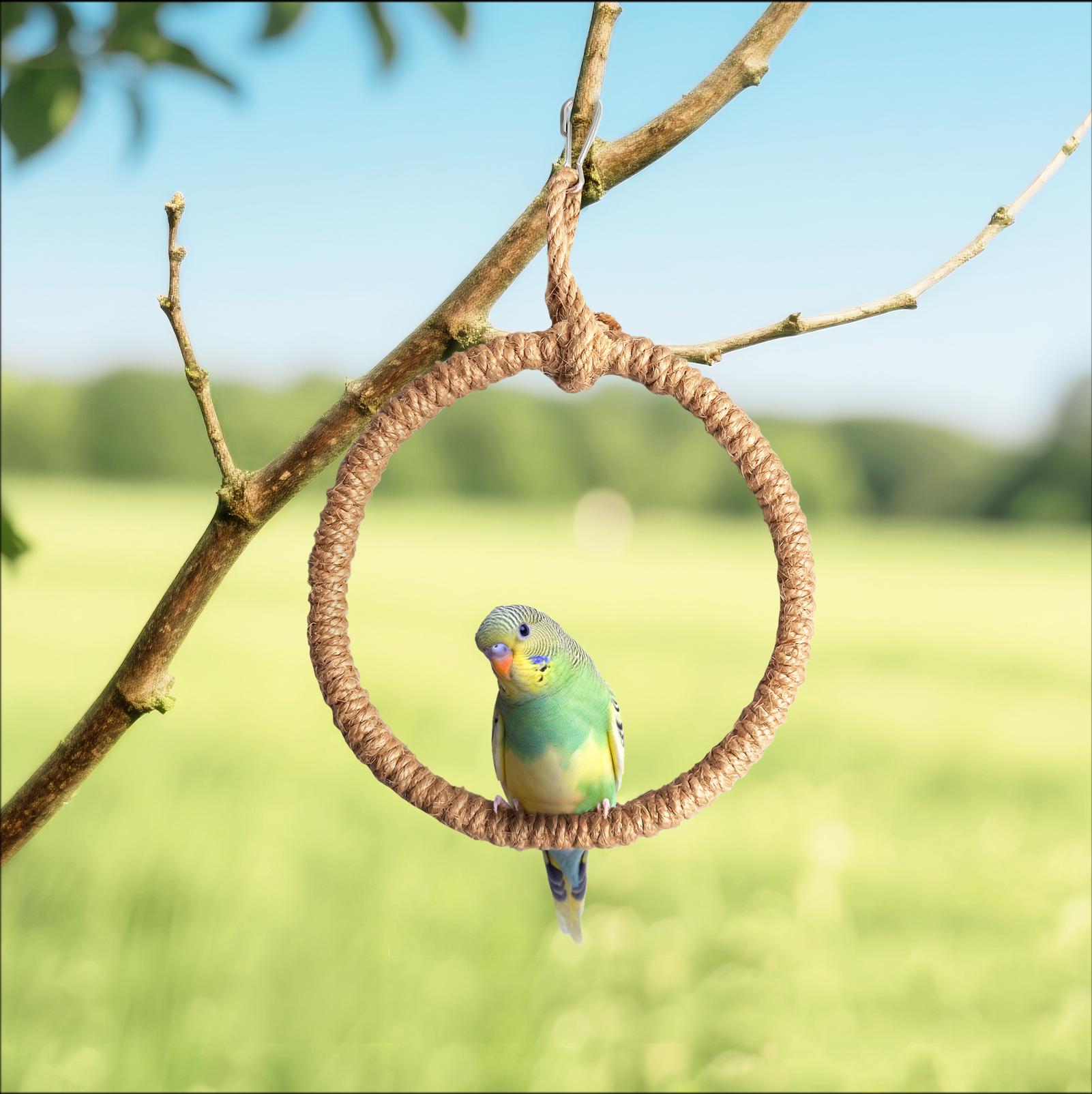 Parrot Rope Swing, Bird Ladder, Round Perch Swing, Cage Climbing Toys ...