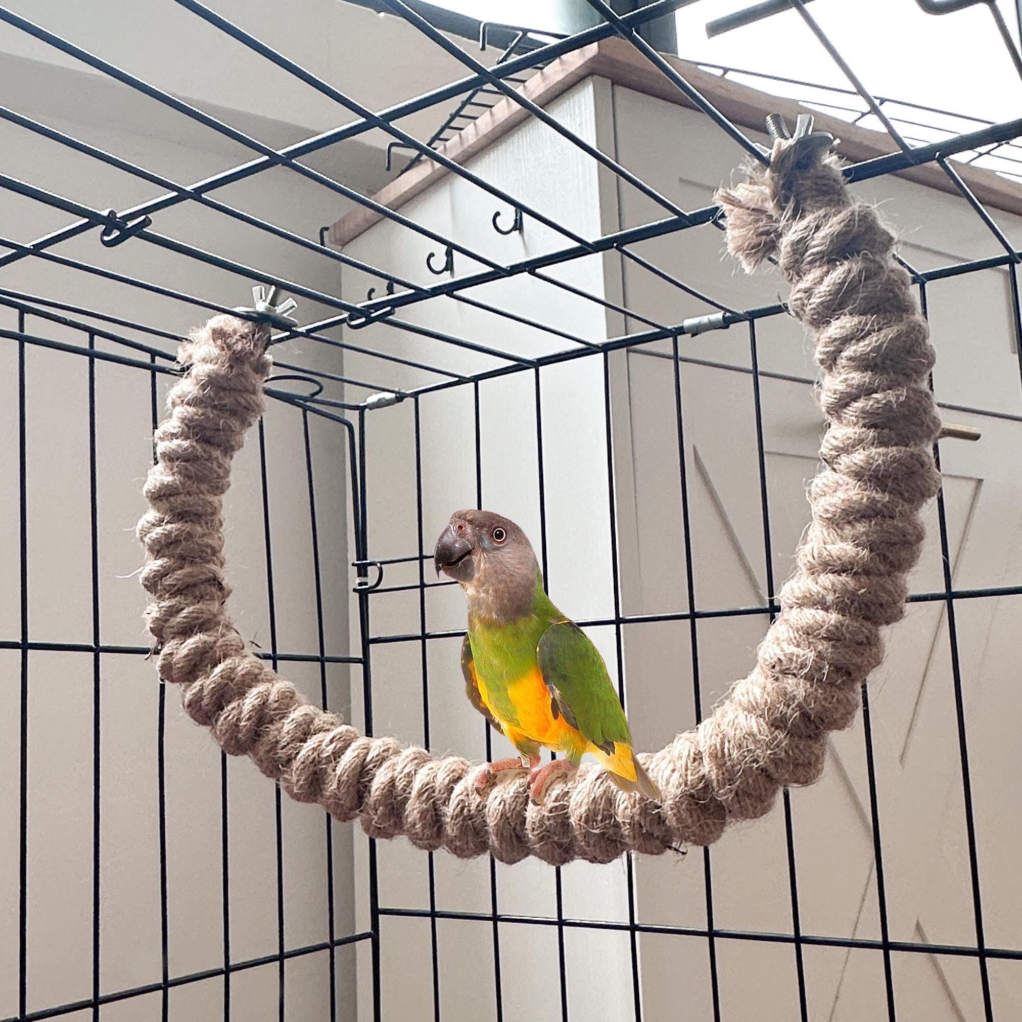 Sisal Rope Bird Perch With Suction Cups, Flexible Parrot Climbing Toy ...