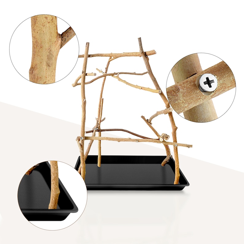 Natural Parrot Stand Bird Perches, Parrot Perches, Parrot Playstand ...