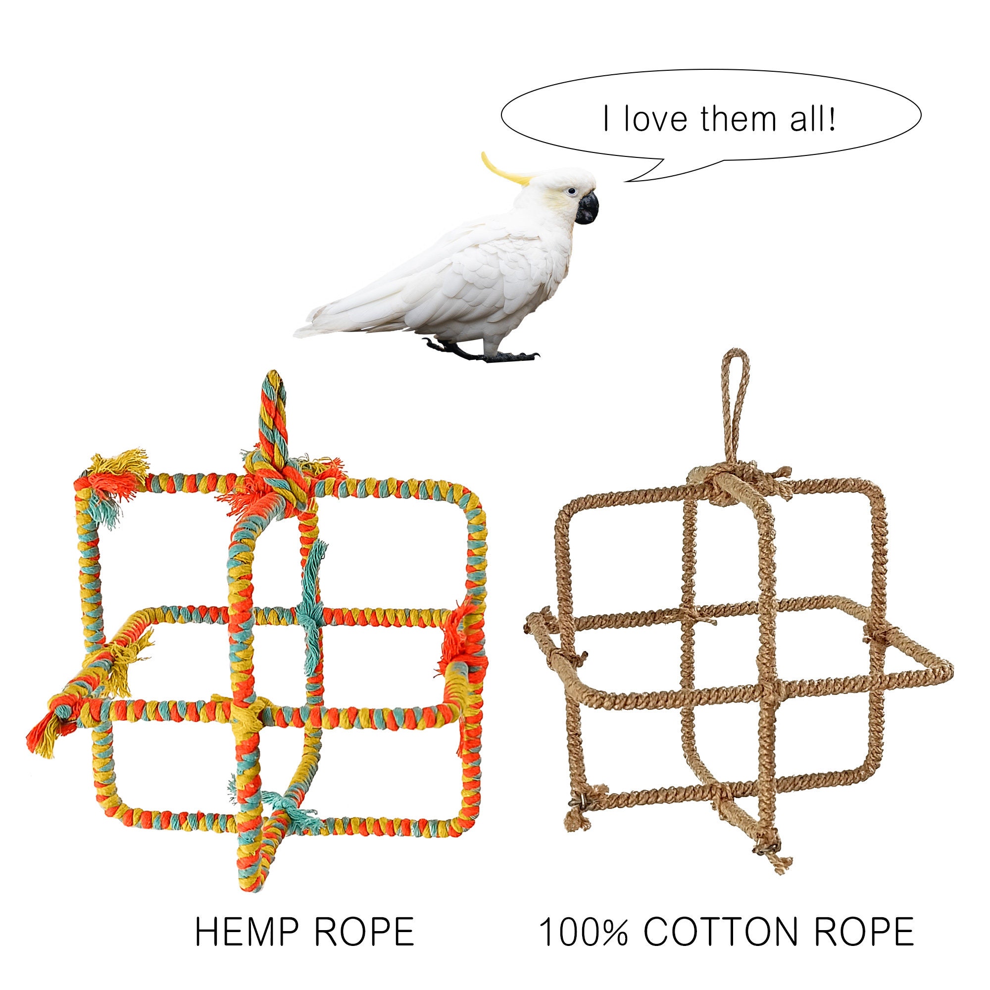 Natural Bird Swing, Parrot Swing Perch, Bird Ring Swing, Parrot Hanging ...