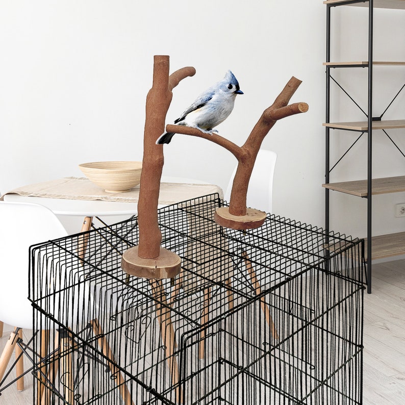 Parrot Perches, Parrot Stand,natural Bird Perches, Bird Cage Perches ...