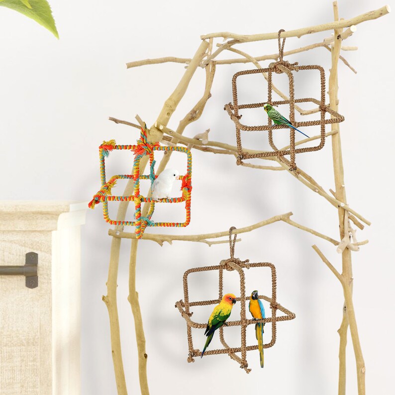 Natural Bird Swing, Parrot Swing Perch, Bird Ring Swing, Parrot Hanging ...