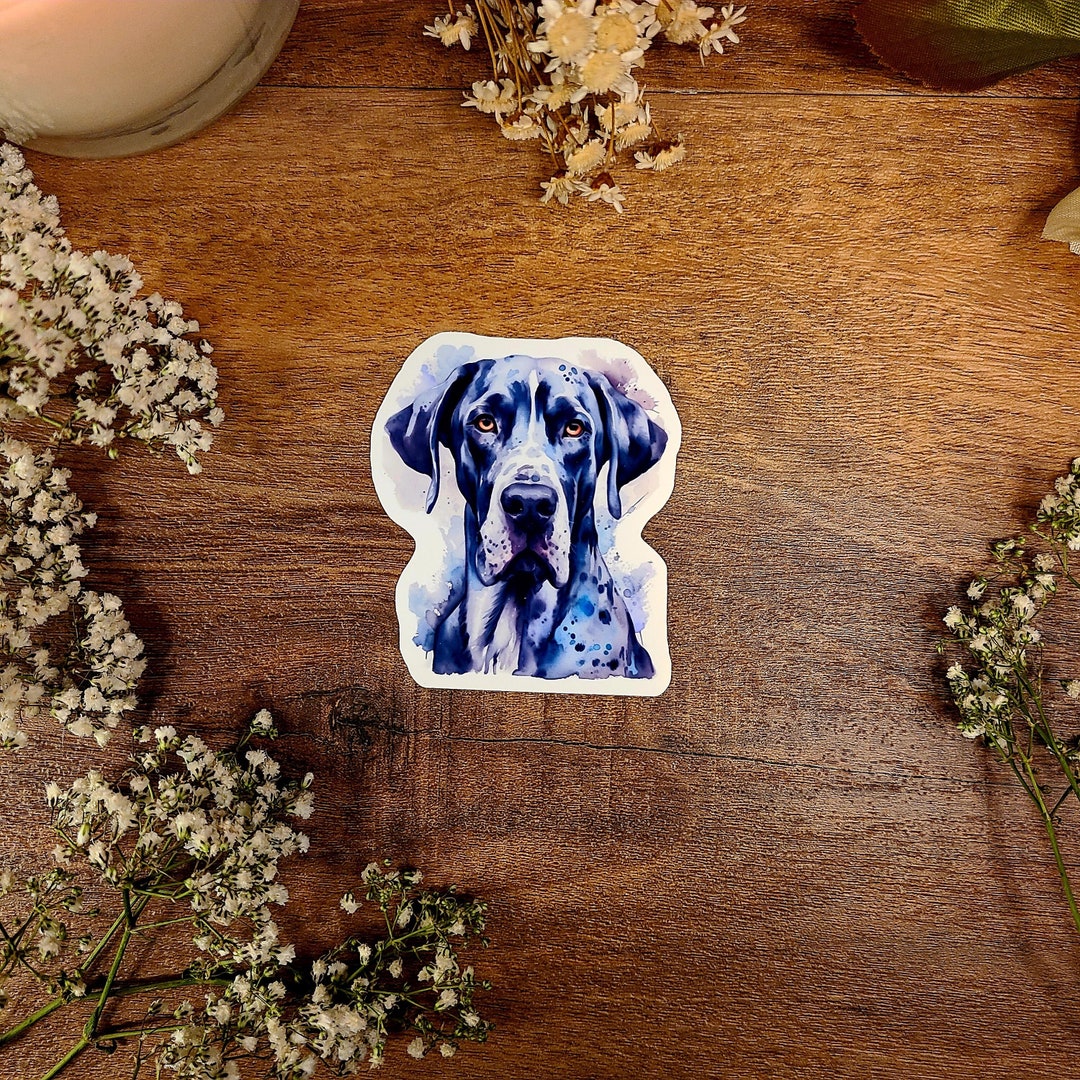 Great Dane Dog, Dane, German Mastiff, German Boarhound, Grand Danois ...