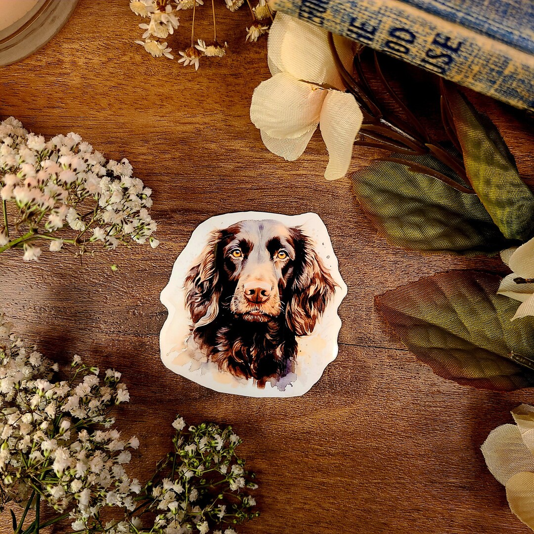 Boykin Spaniel Dog, Bird Dog, Hunting Dog, Fur Baby, Vinyl Sticker ...