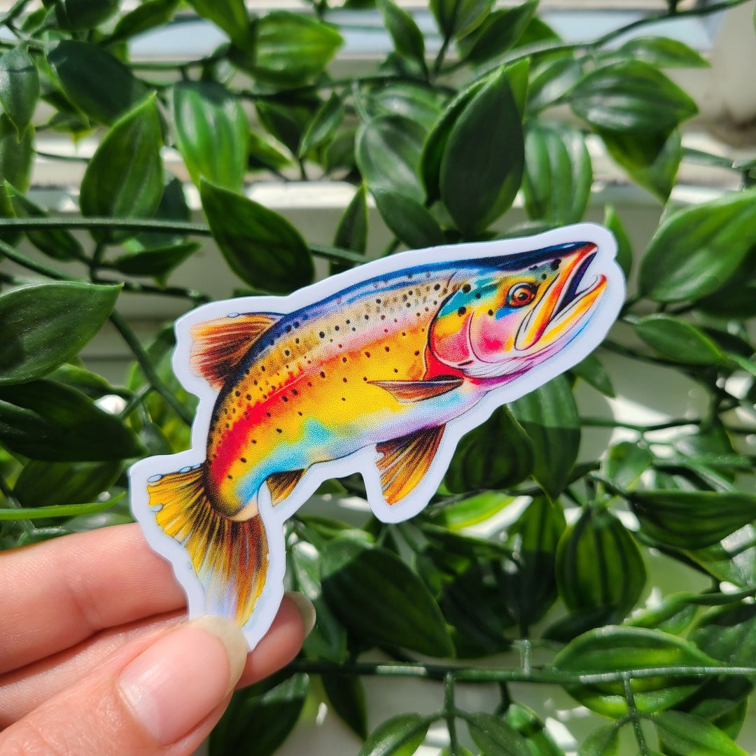 Rainbow Trout Sticker: Fishing, Camping, Outdoors Decal - Etsy