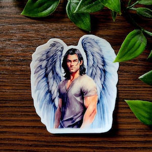 Crescent City Bryce Quinlan Hunt Athalar Danika Fendyr - Etsy