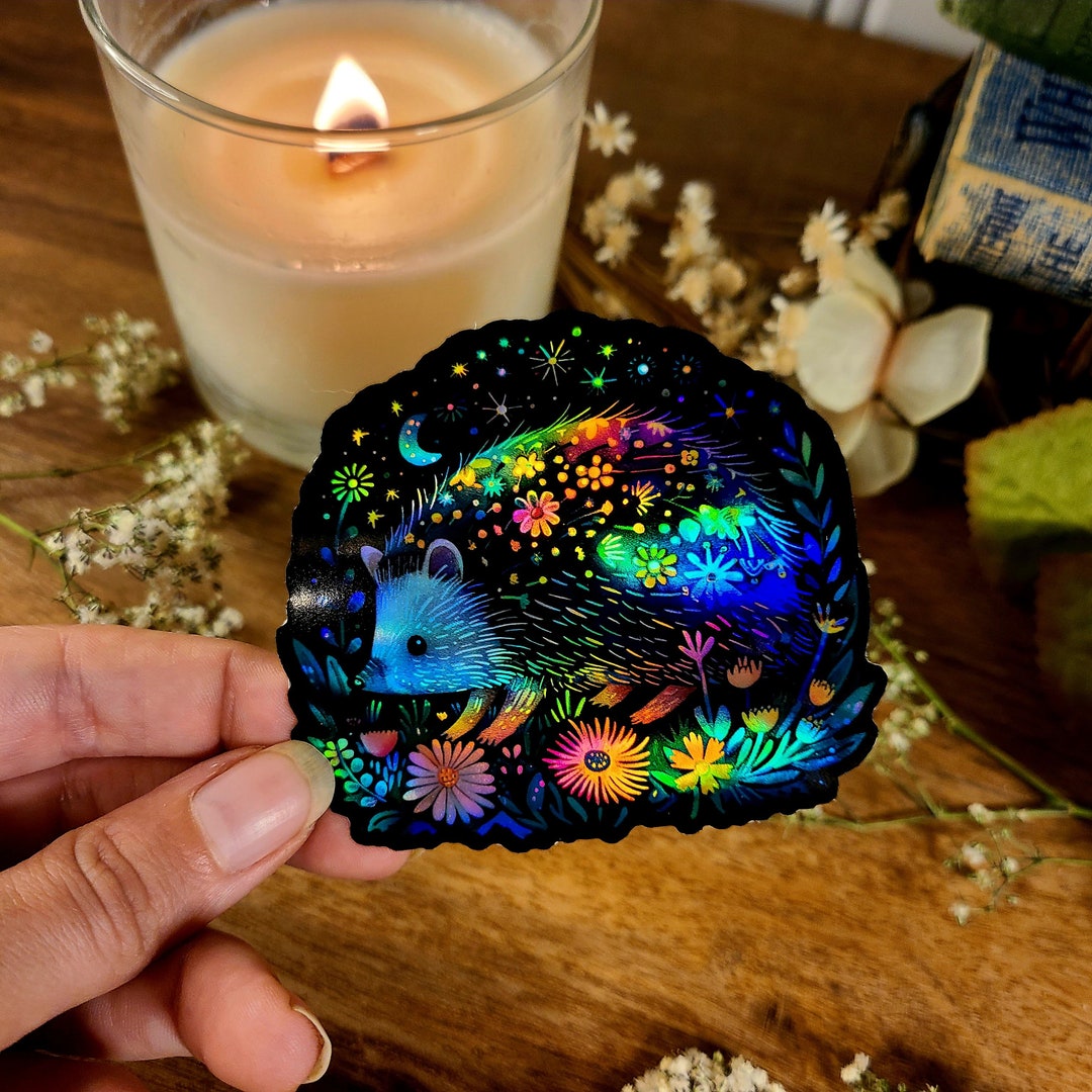 Holographic Hedge Hog, Wildflowers, Witchy, Night Time, Magical ...