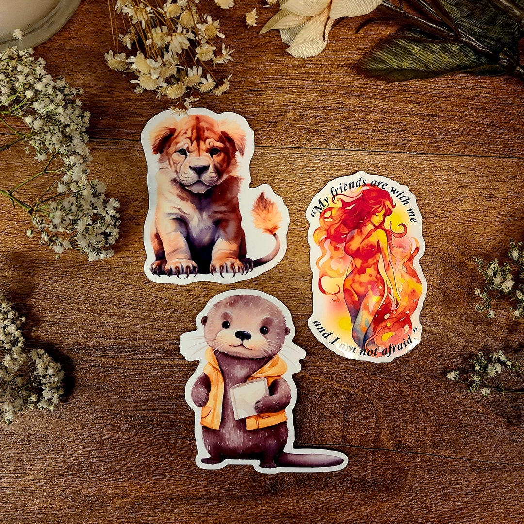 Crescent City Otter Mail Vinyl Sticker: Sarah J Maas Fan Art - Etsy