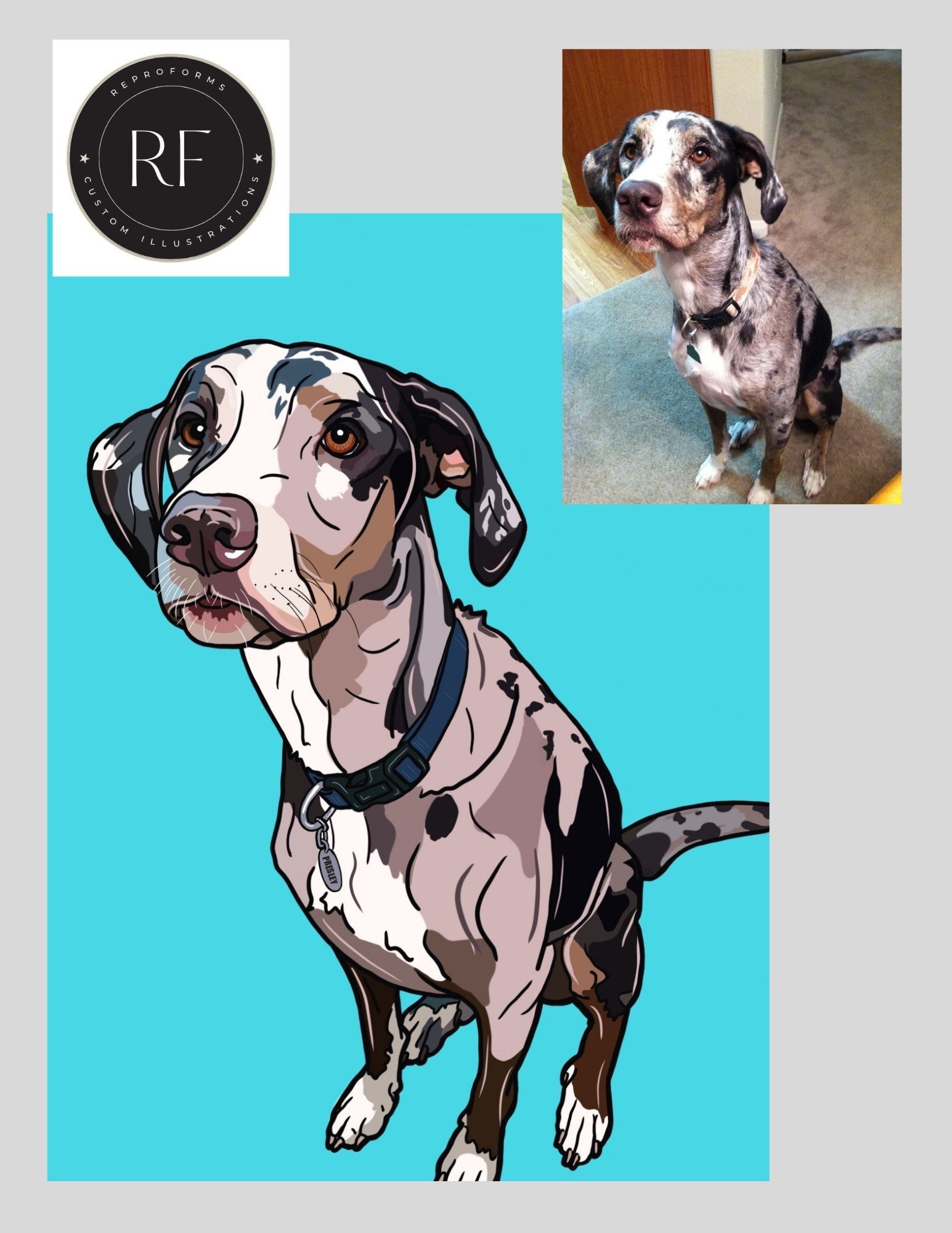 Hand-drawn, Custom Pet Illustrations Pet Portraits Digital Art From ...