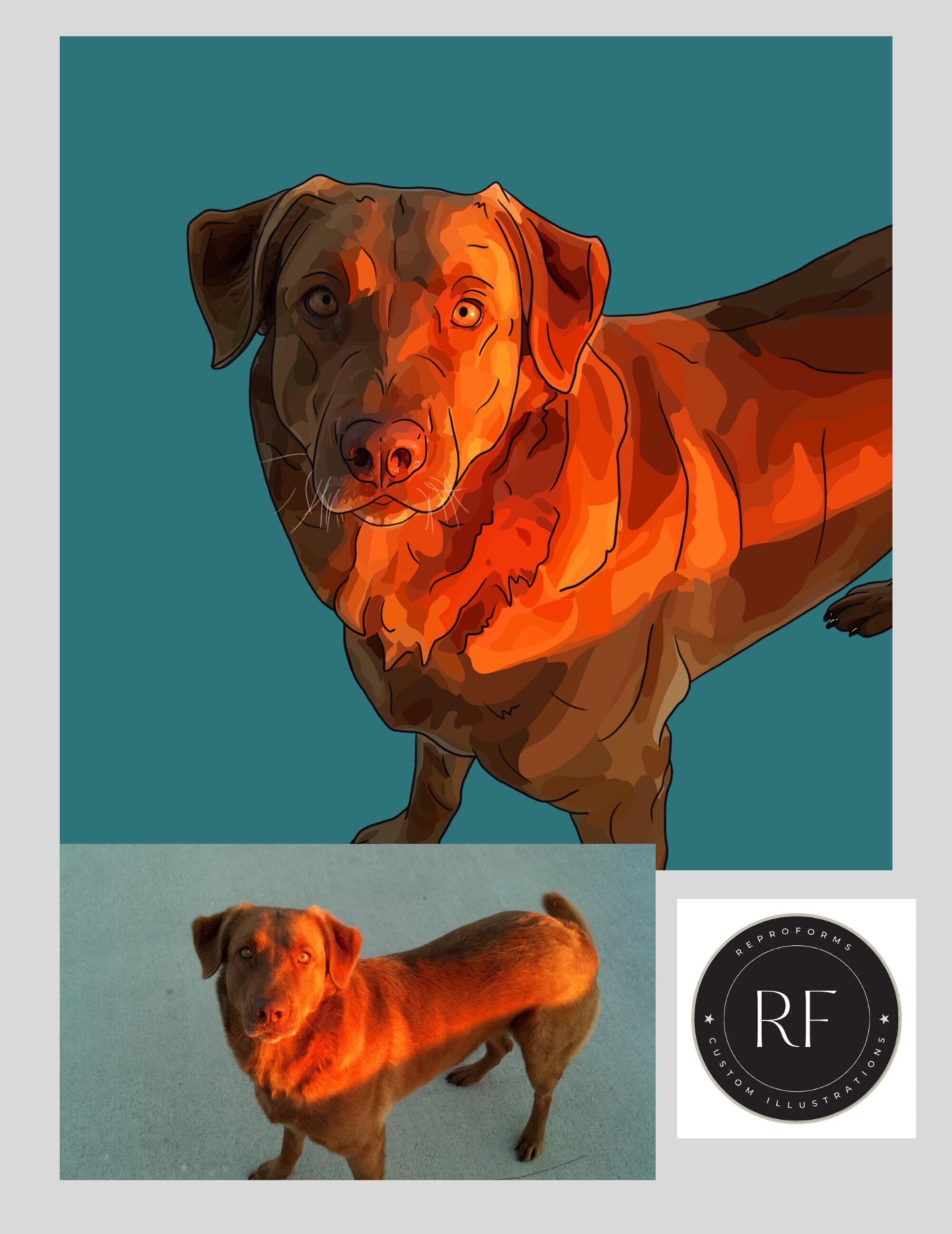 Hand-drawn, Custom Pet Illustrations Pet Portraits Digital Art From ...