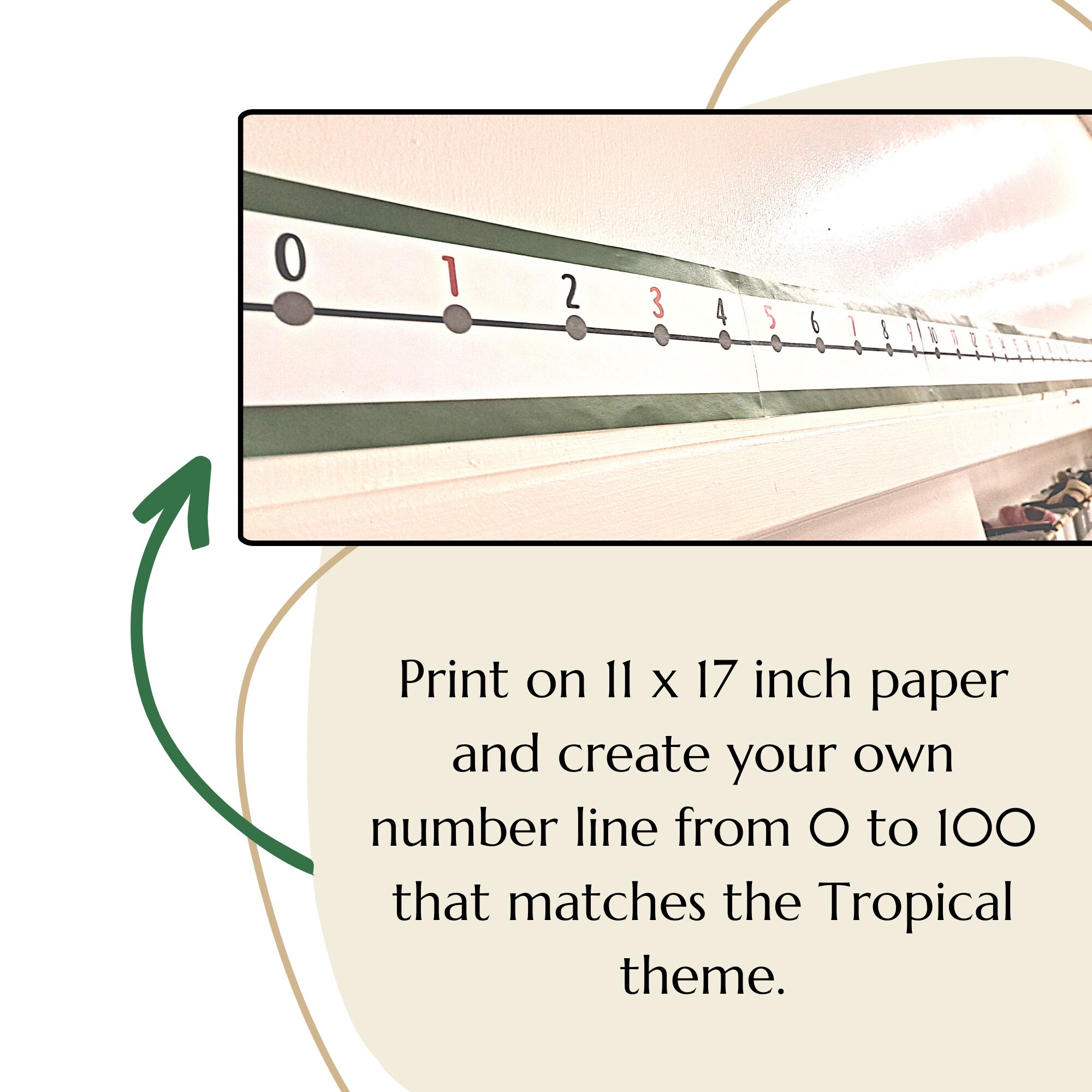 Tropical Number Line - 0 to 100 Number Line - Printable - Classroom ...