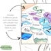 Geodes and Gemstones Classroom Labels - Editable - Geode Classroom ...