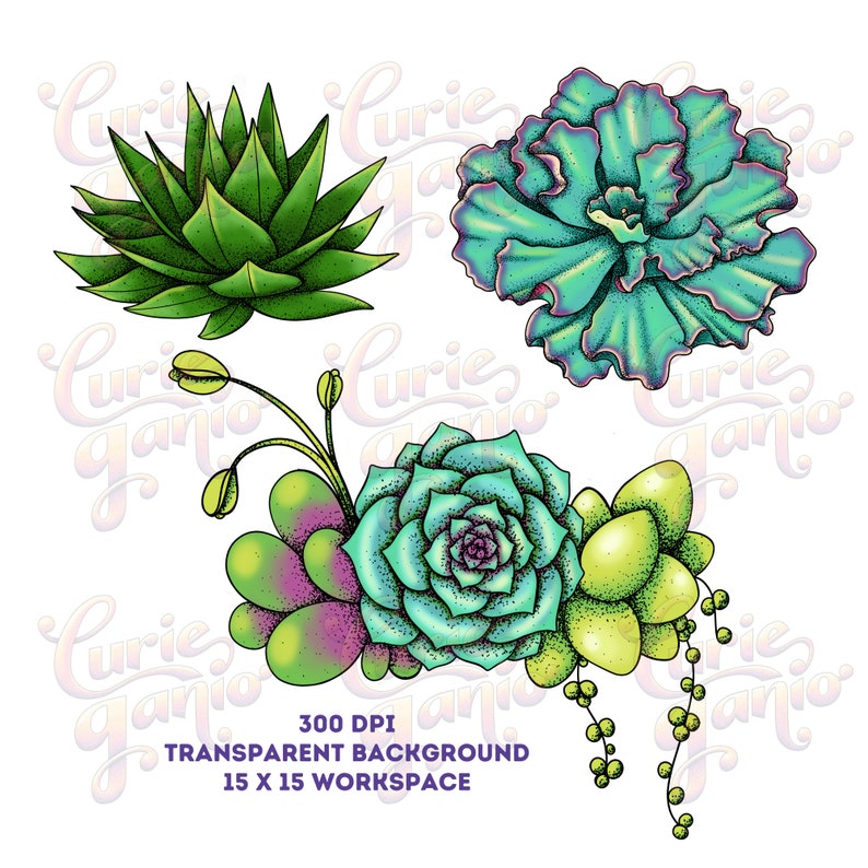Succulent Clipart Bundle, Plants Clipart, Botanical Clipart, Succulent ...
