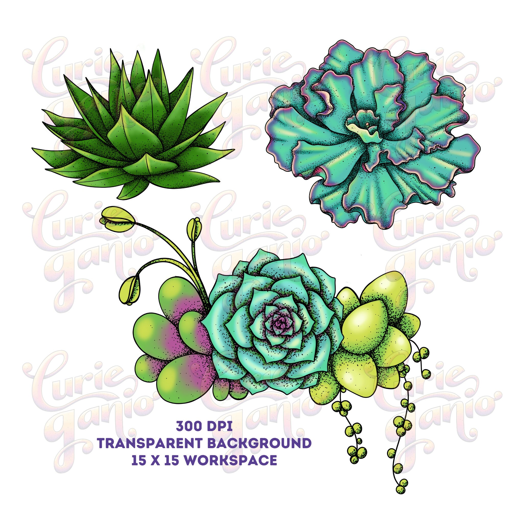 Succulent Clipart Bundle, Plants Clipart, Botanical Clipart, Succulent ...