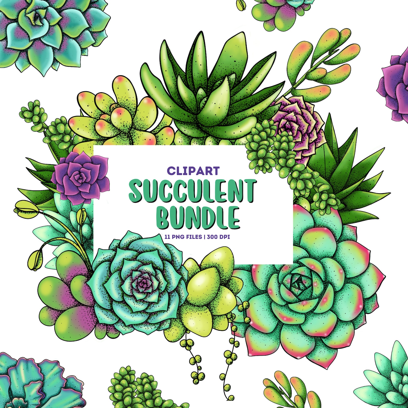 Succulent Clipart Bundle, Plants Clipart, Botanical Clipart, Succulent ...