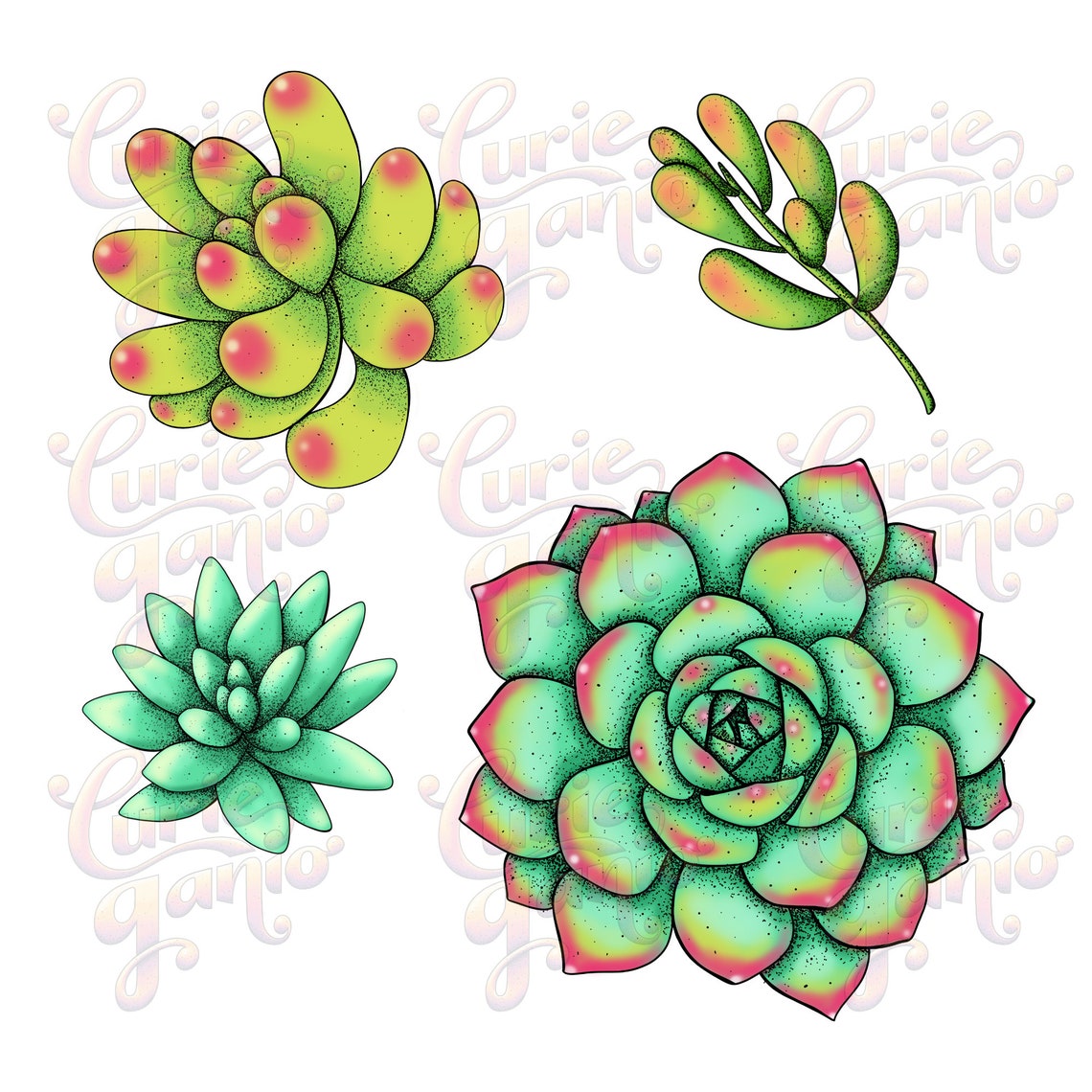 Succulent Clipart Bundle, Plants Clipart, Botanical Clipart, Succulent ...