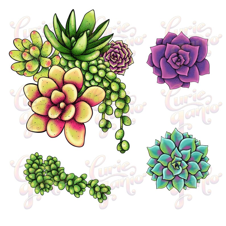 Succulent Clipart Bundle, Plants Clipart, Botanical Clipart, Succulent ...