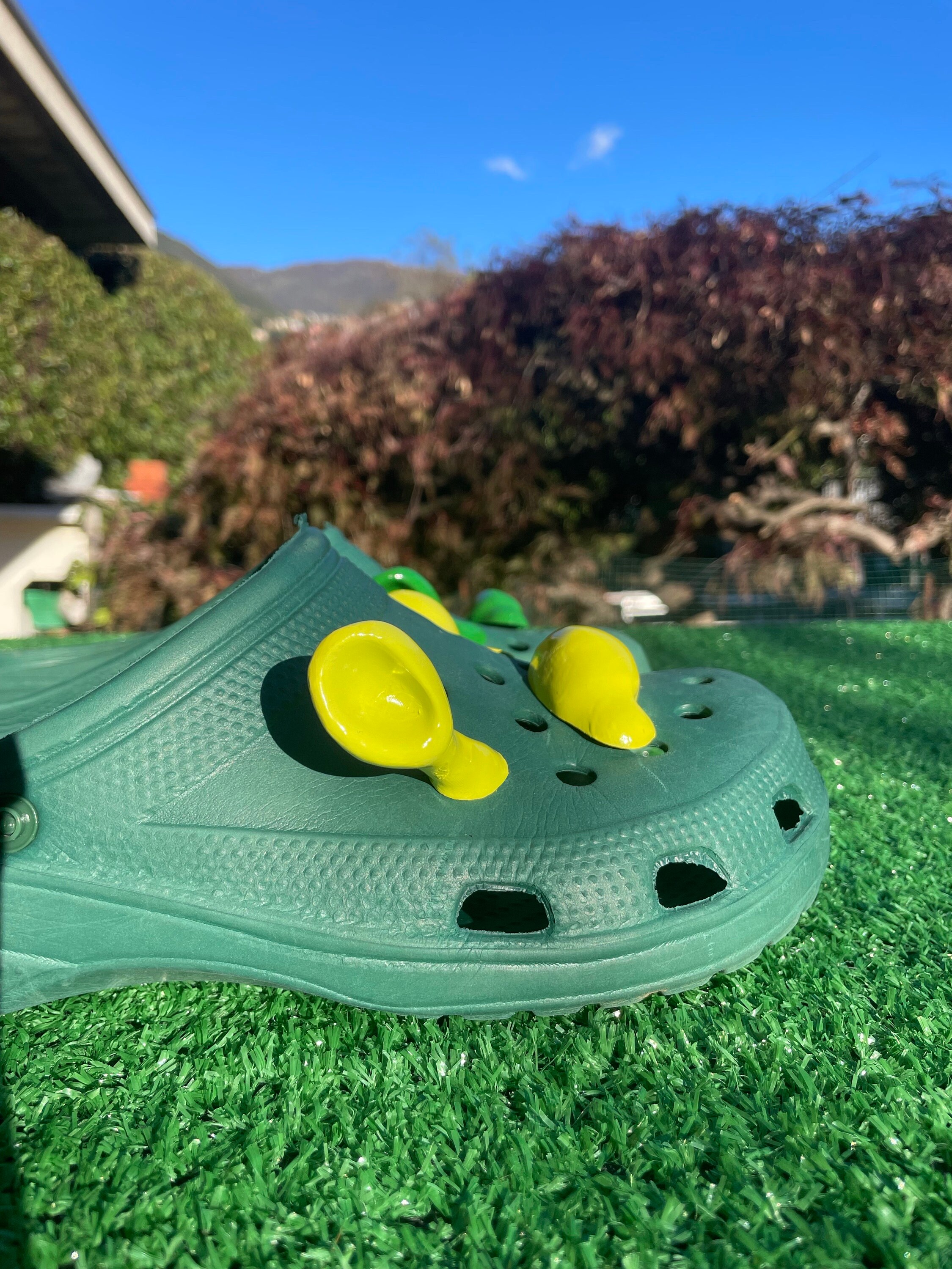 Shrek Charms for Crocs Charm Jibbtz Accessories Ear Nose Ears - Etsy