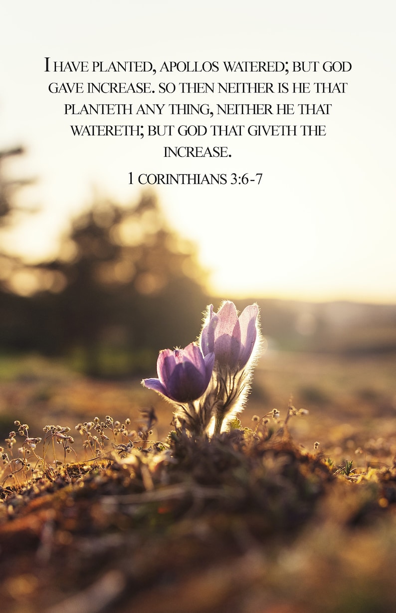 1 Corinthians 3:6-7 / Bible Verse Wall Art / Bible Verse Printable ...