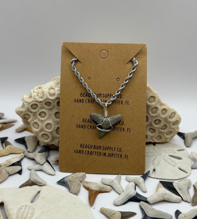 One of a Kind Shark Tooth Hand-wrapped on Silver Twist Rope Chain ...