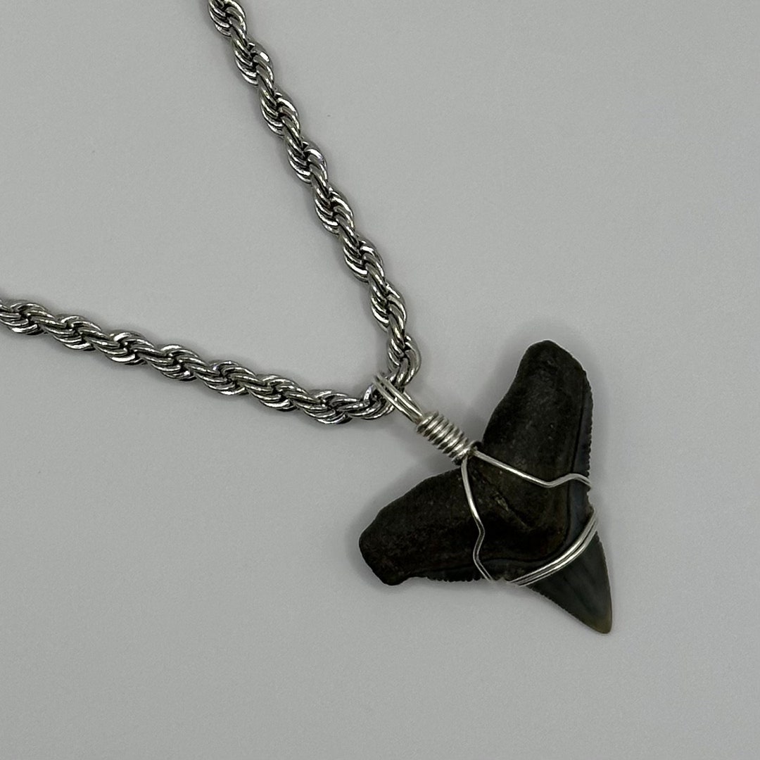 One of a Kind Shark Tooth Hand-wrapped on Silver Twist Rope Chain ...