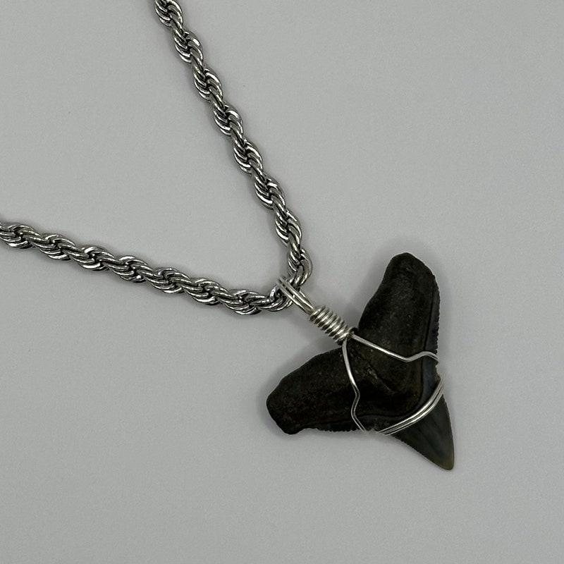 Shark Chain - Etsy