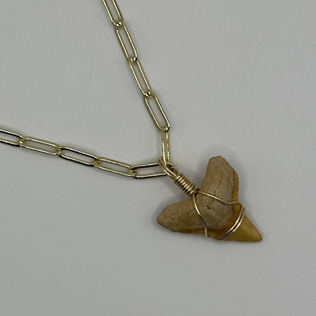 CUSTOM - One of a Kind Shark Tooth Hand-wrapped on Gold Oval Chain ...