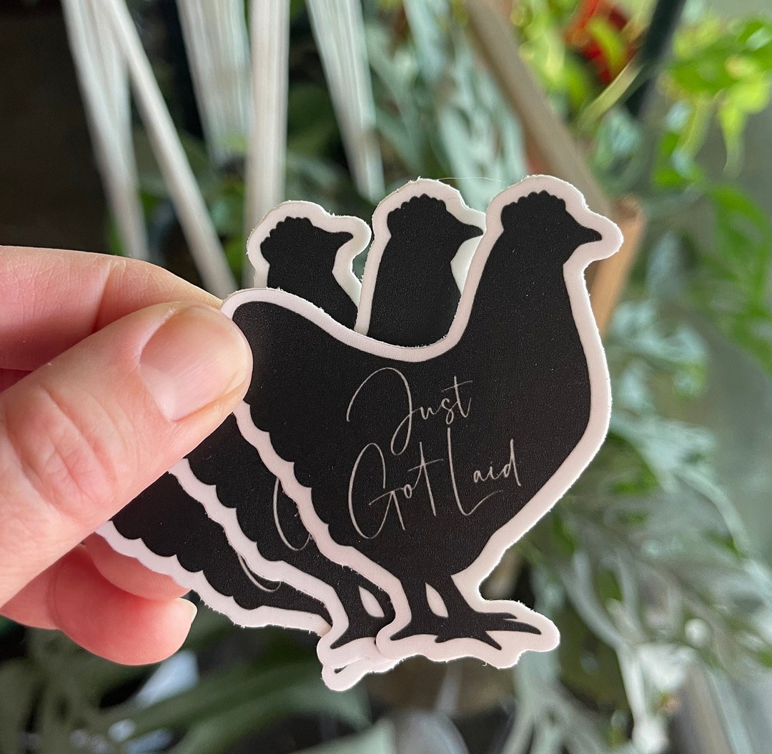 JUST GOT LAID | 2.8" Sticker 3 Pack | Egg Carton Sticker | Doodle Art ...