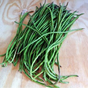 Chinese Yard Long Bean Seeds: Heirloom Asparagus Bean, Non GMO - Etsy