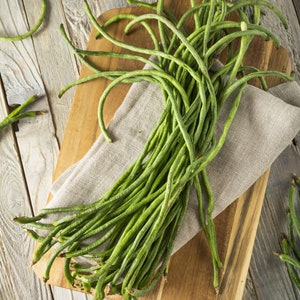 Chinese Yard Long Bean Seeds: Heirloom Asparagus Bean, Non GMO - Etsy