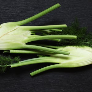 Dragon Fennel Seeds - Florence Fennel - Heirloom Seeds - Vegetable ...