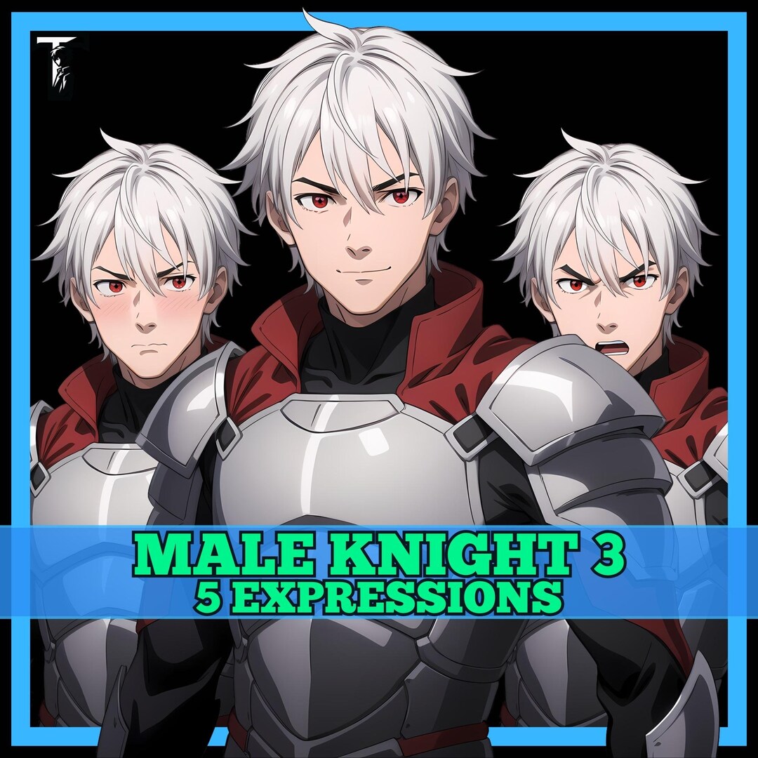 Pngtuber Male Knight 3 PNG Tuber for Veadotube 2D Vtuber for - Etsy