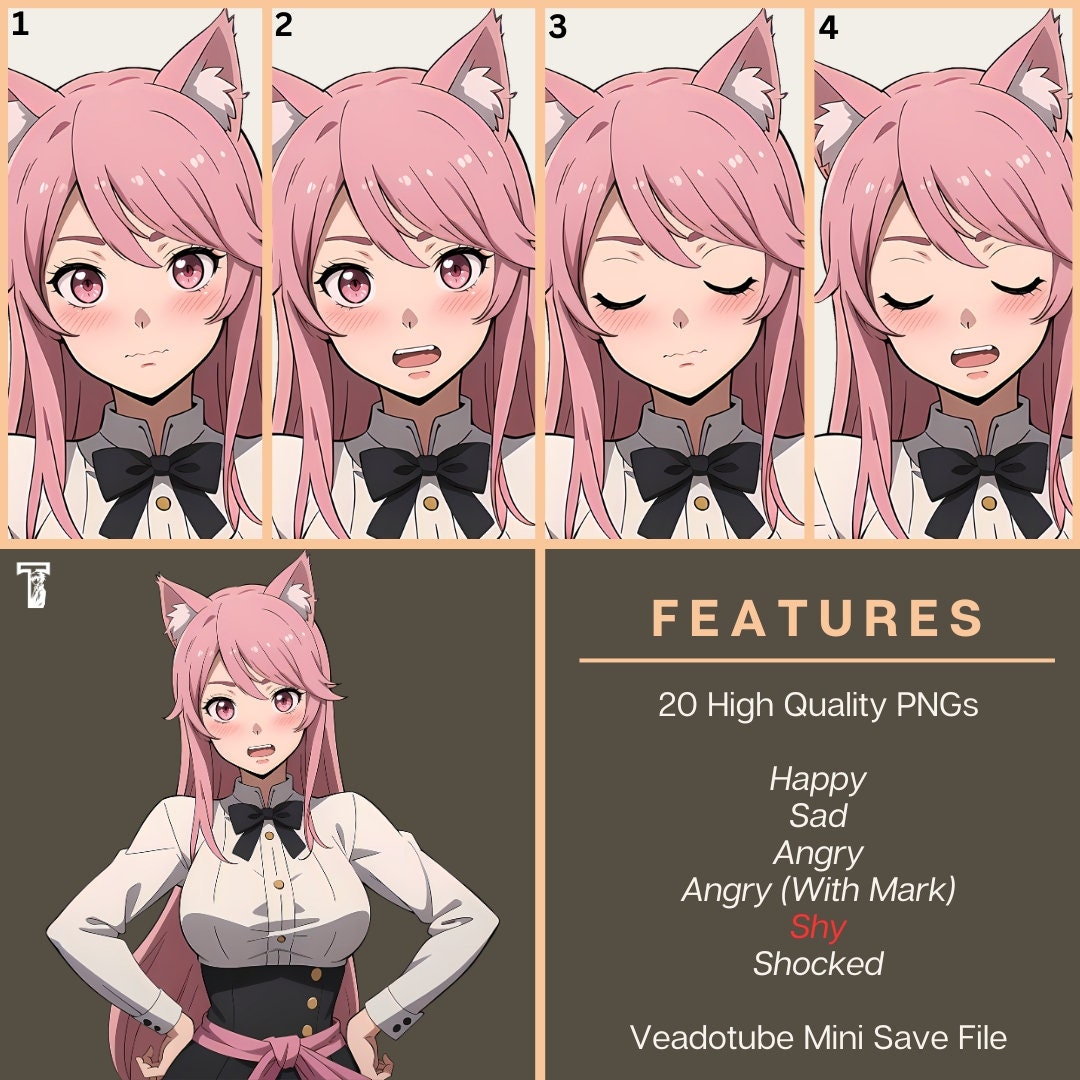 Pngtuber Cute Pink Catgirl With 5 Expressions Veadotube Ready PNG Tuber ...