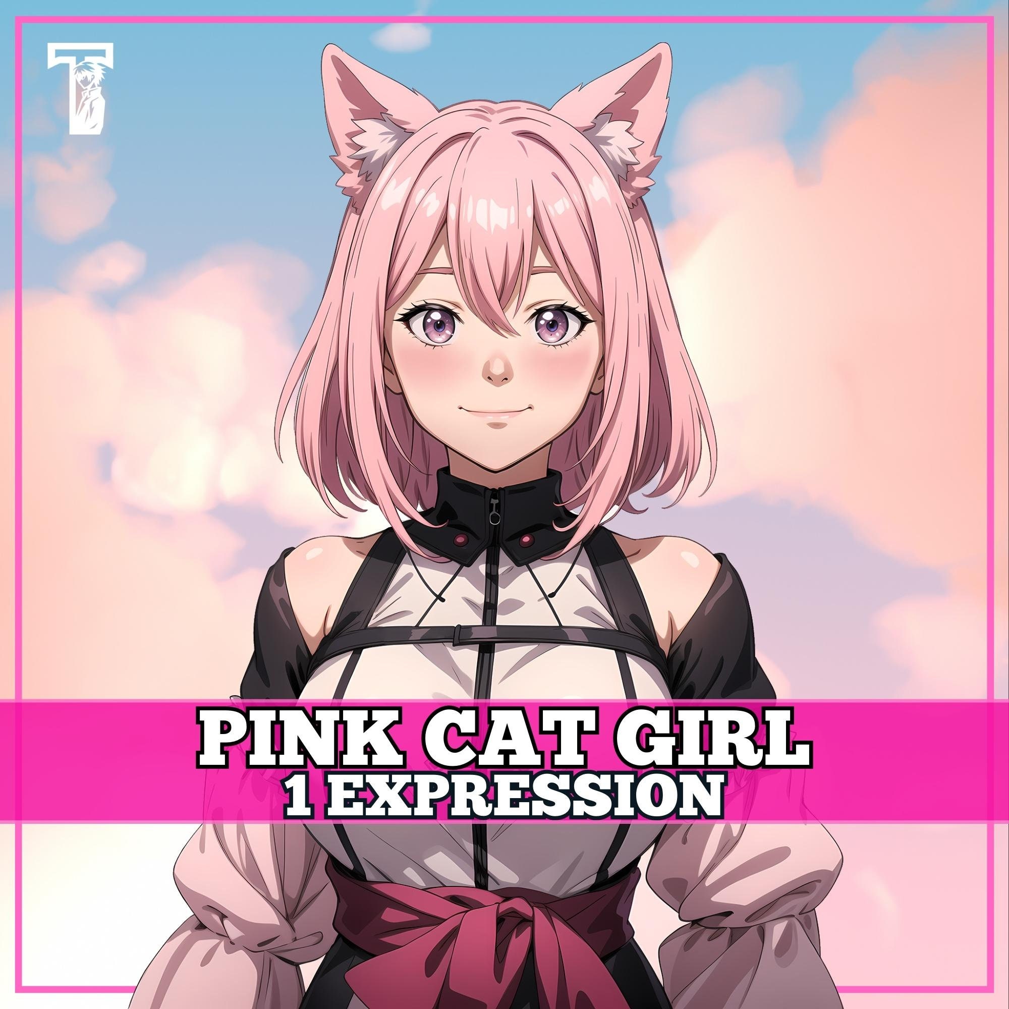 Cute Pngtuber Girl, Catgirl, Veadotube, PNG Tuber, Streaming, Twitch ...