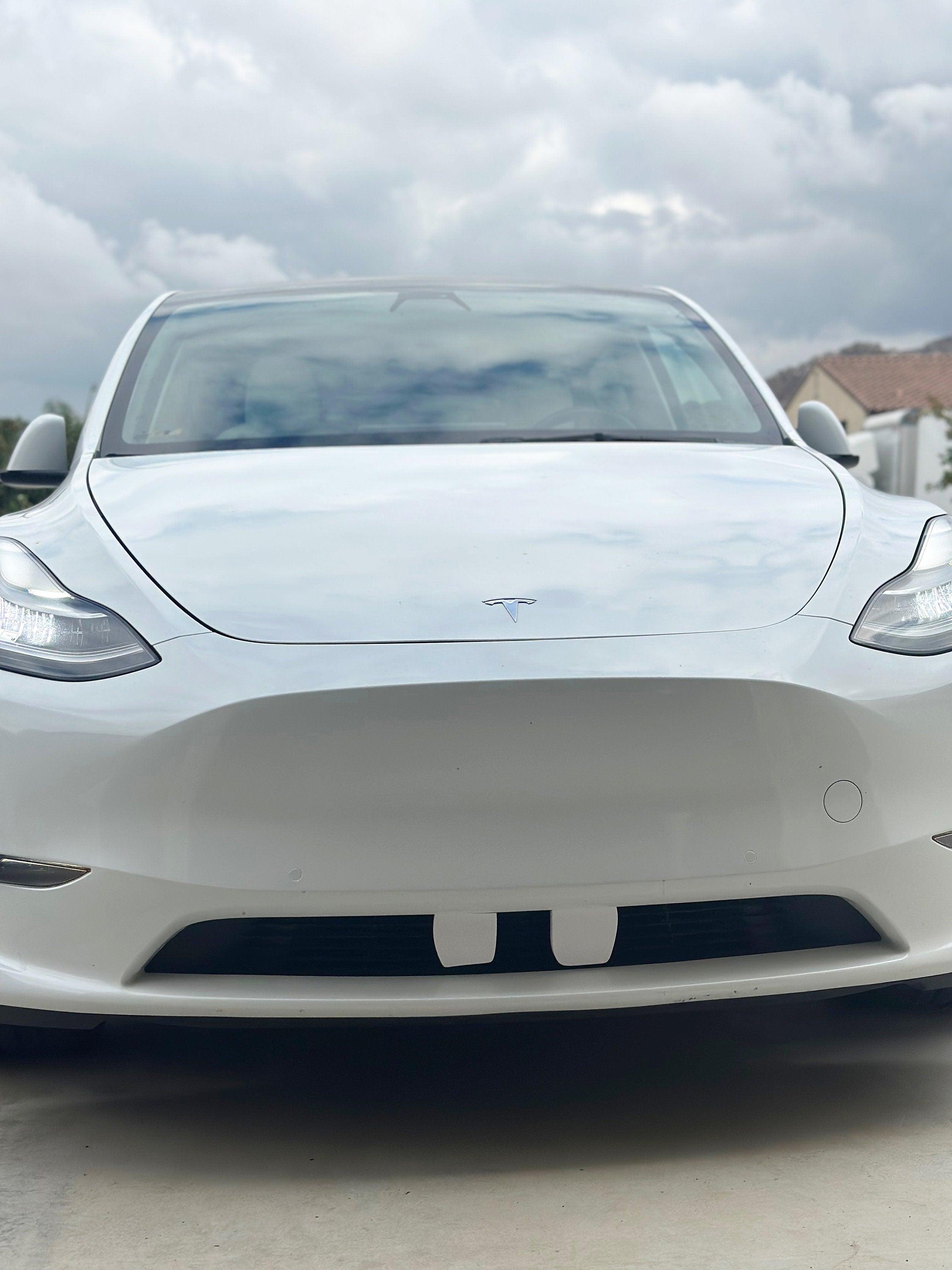 Goofy Teeth for Tesla - Etsy