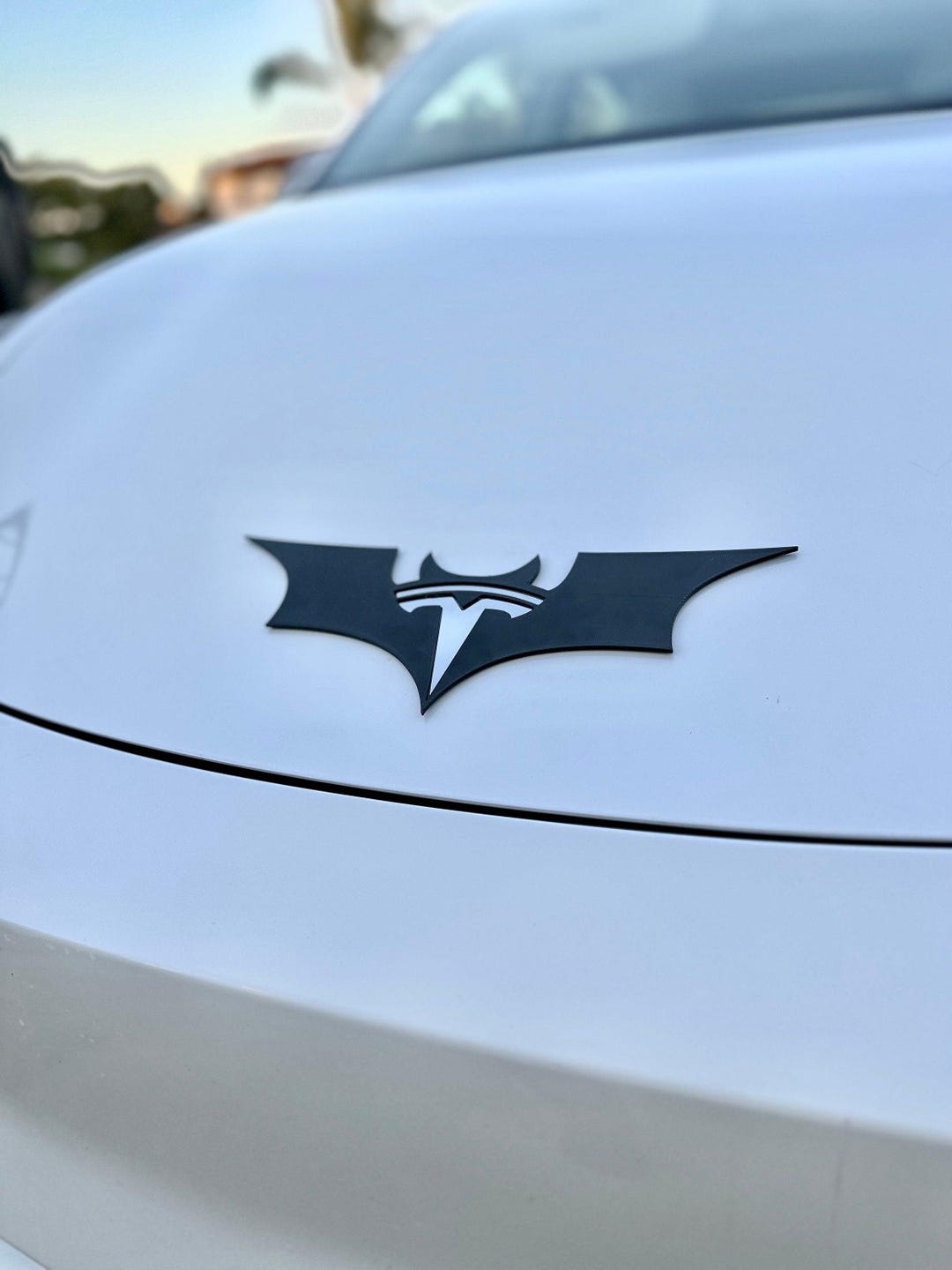 Bat Wings Overlay for Tesla Emblem, Reusable! - Etsy