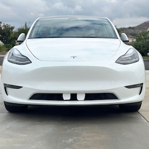 Goofy Teeth for Tesla - Etsy