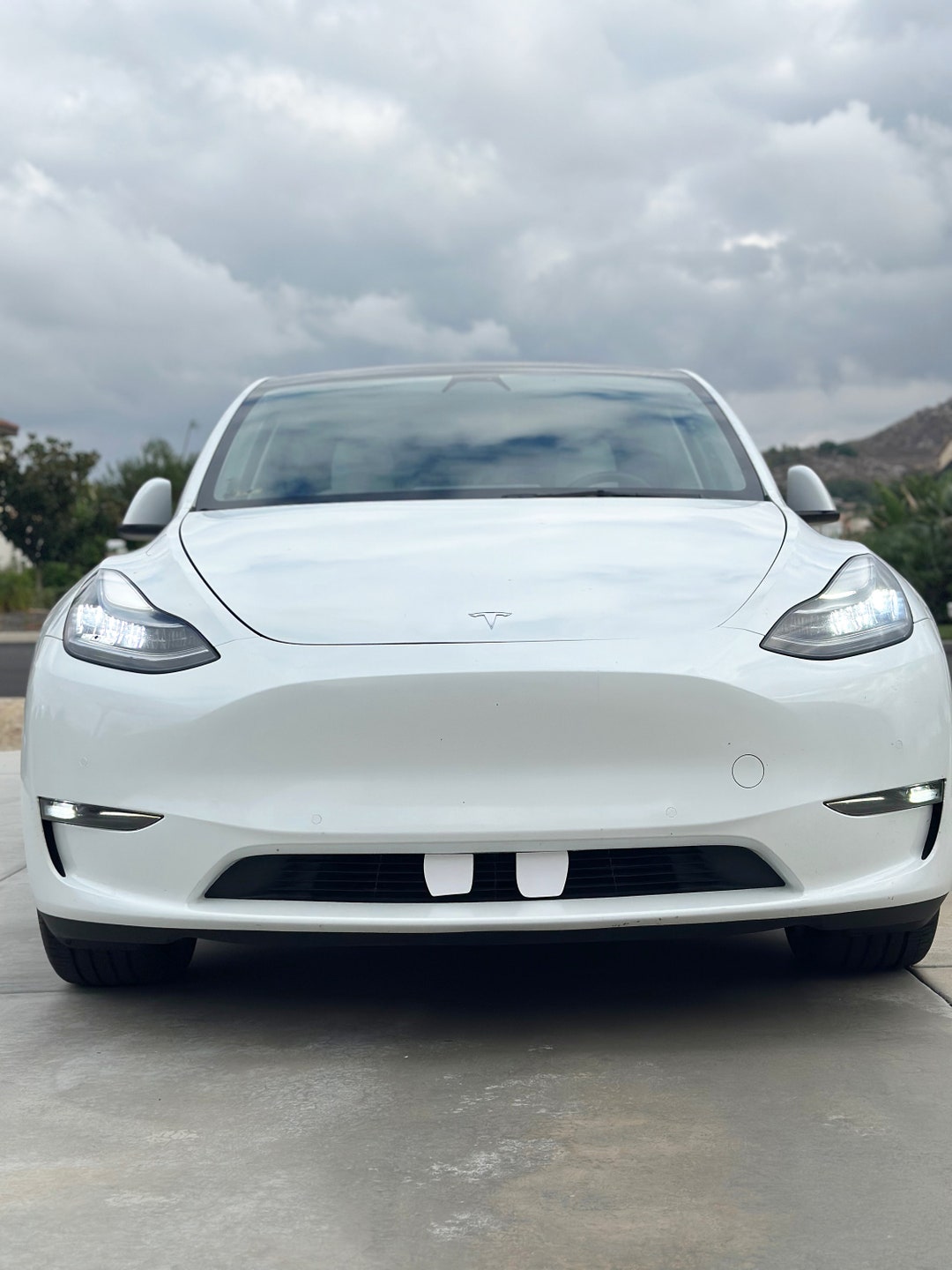 Goofy Teeth for Tesla - Etsy