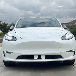 Goofy Teeth for Tesla - Etsy