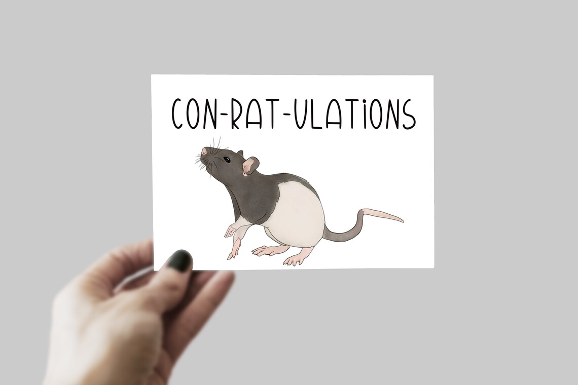 Rat Congratulations Card Funny Rat Congratulations on - Etsy