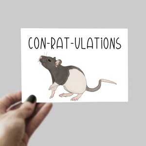 Rat Congratulations Card Funny Rat Congratulations on Graduating Card ...