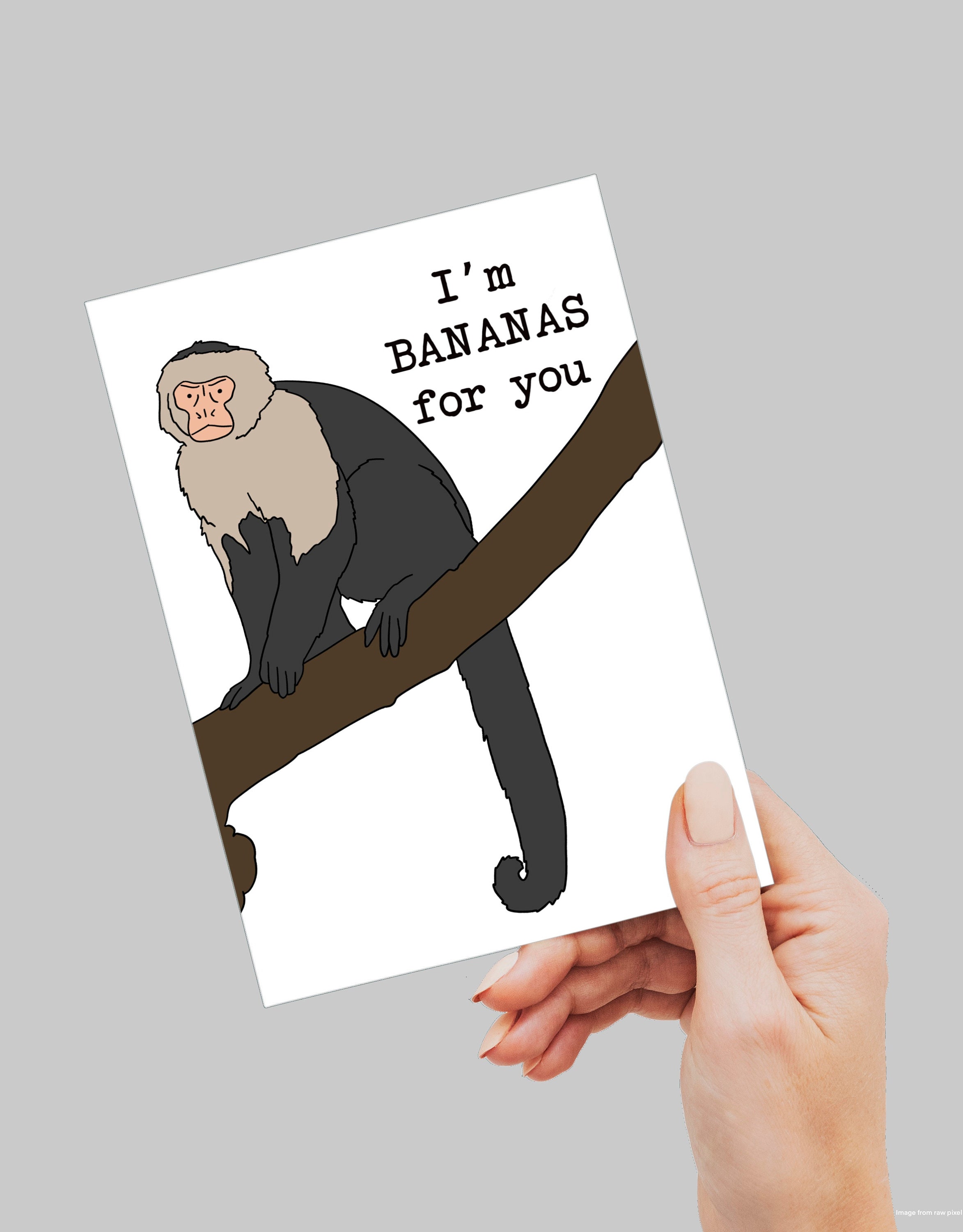 Monkey Valentines Day Card Funny Anniversary Card for Girlfriend ...