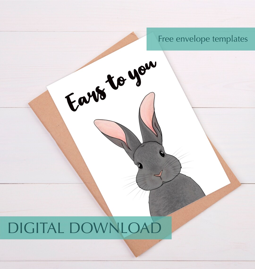 Bunny Congratulations Card Funny Rabbit Congratulations on - Etsy