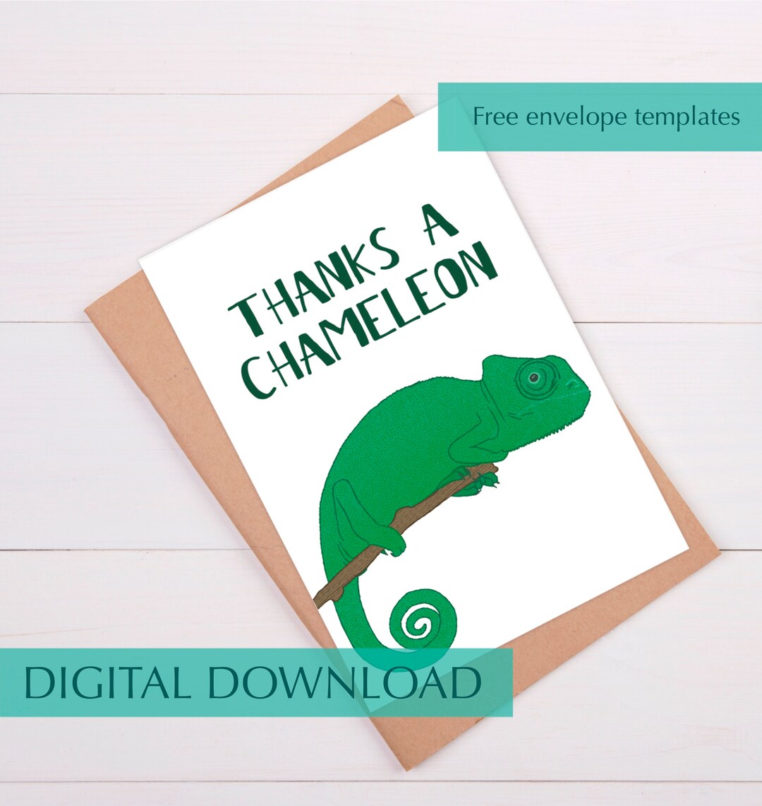 Chameleon Thank You Card Funny Lizard Thank You Card for Friend ...