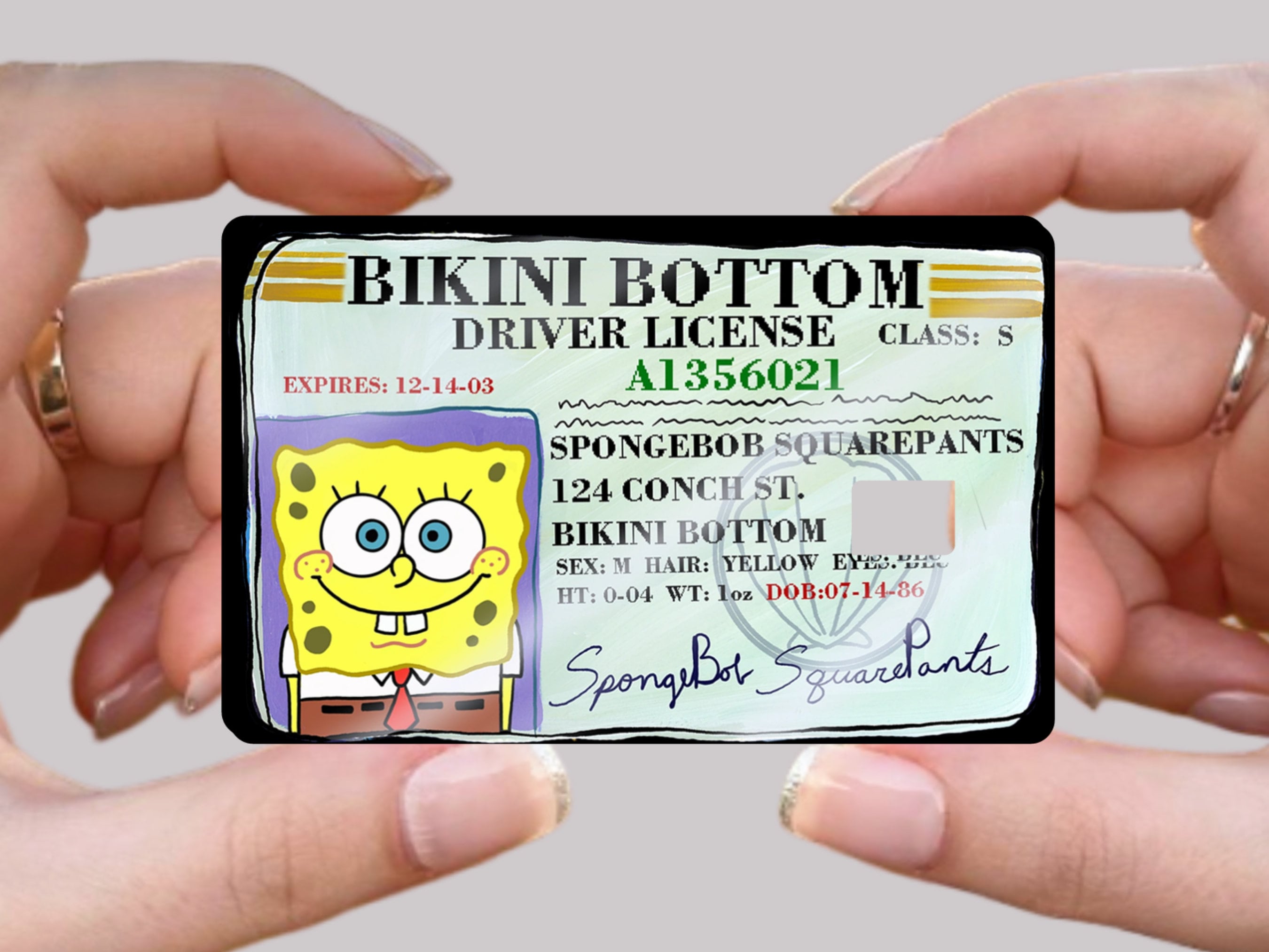 Spongebob Credit Card